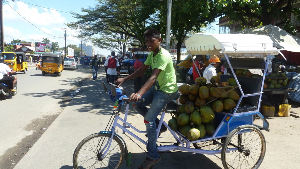 De Tamatave à Foulpointe ⋆ 3 ChAtONs En VaDrOUiLLe