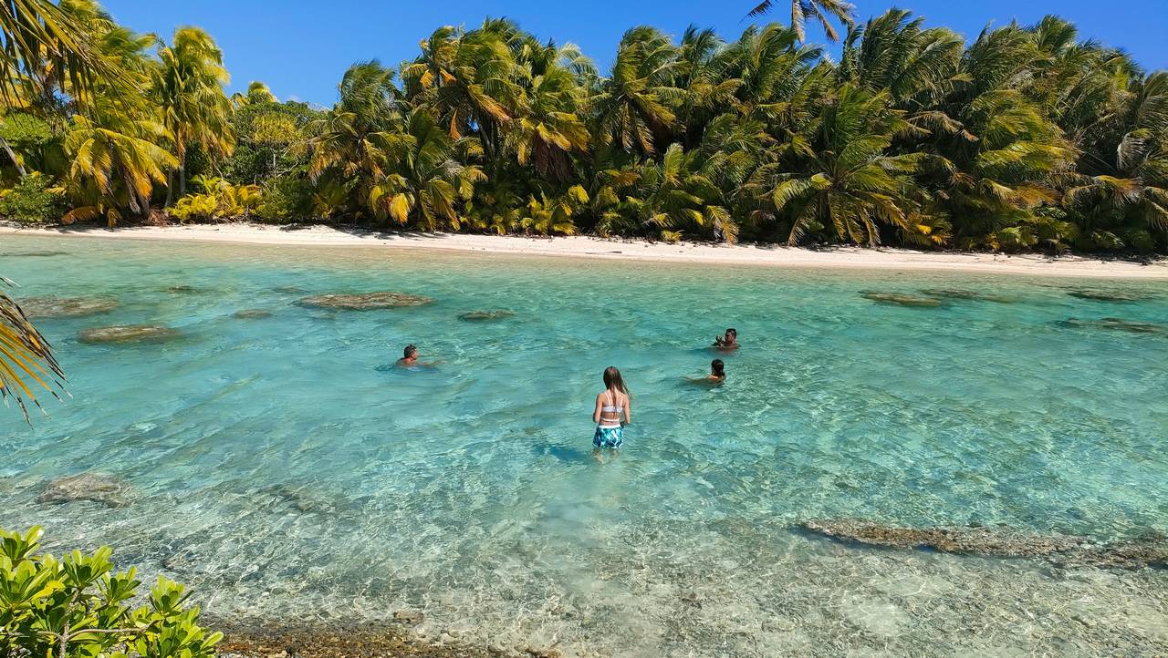 Koh Lanta à la sauce Warren, Rangiroa ⋆ 3 ChAtONs En VaDrOUiLLe